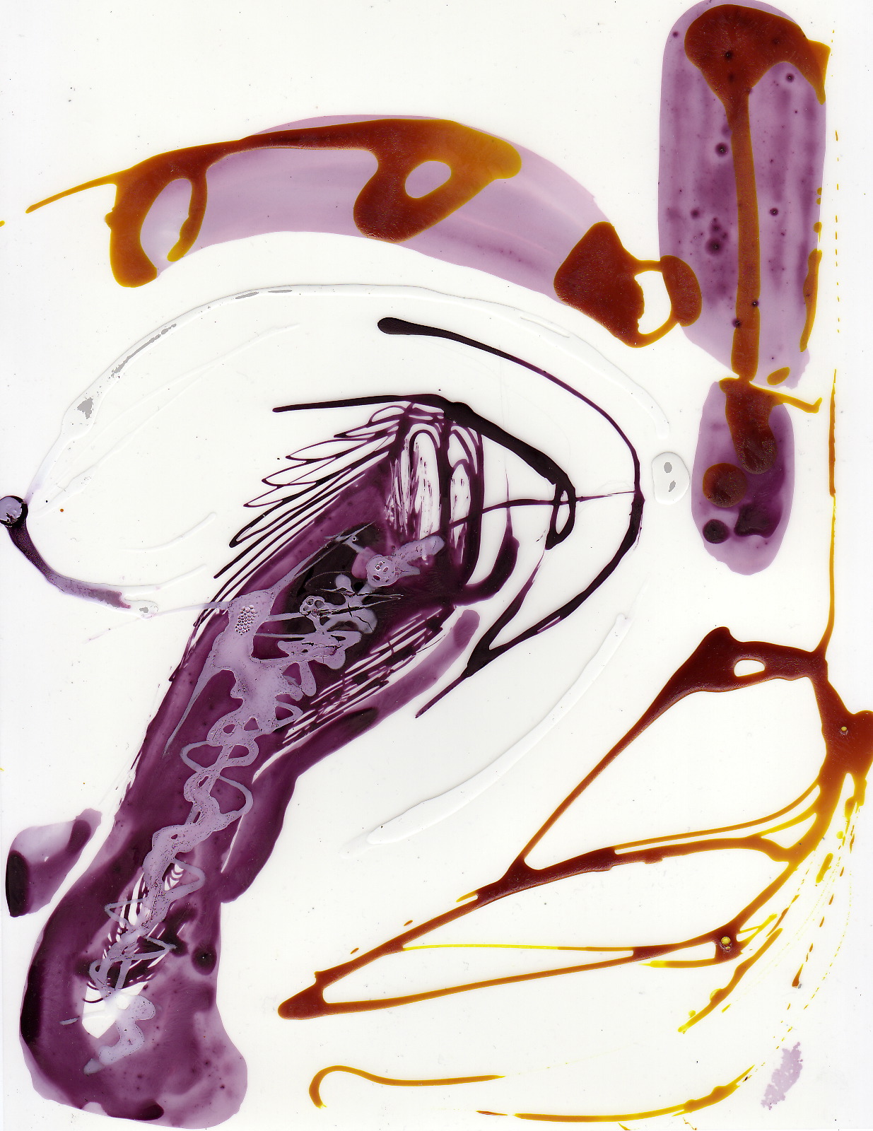 TransParent | The Memory Mine