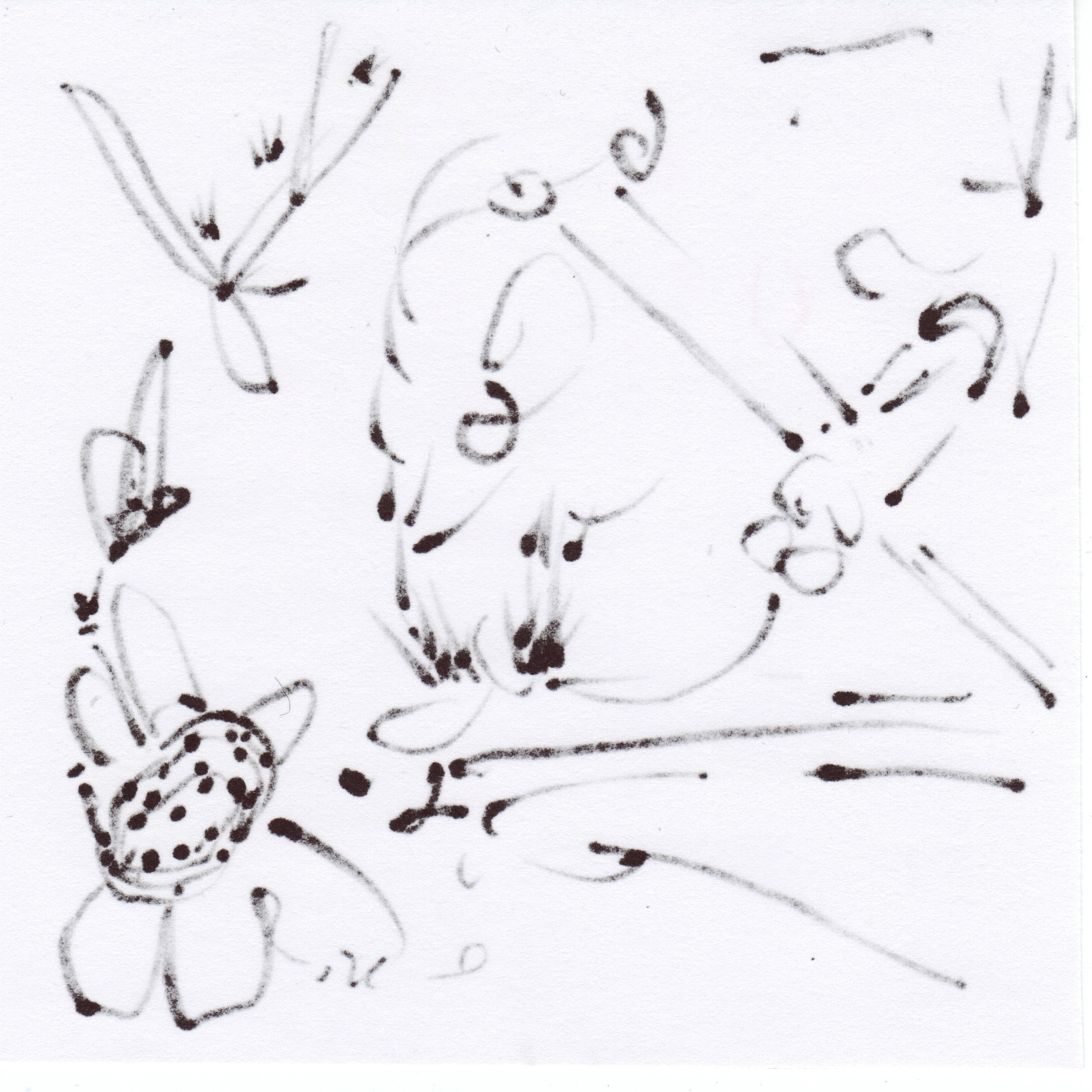 7 reverse | The Memory Mine